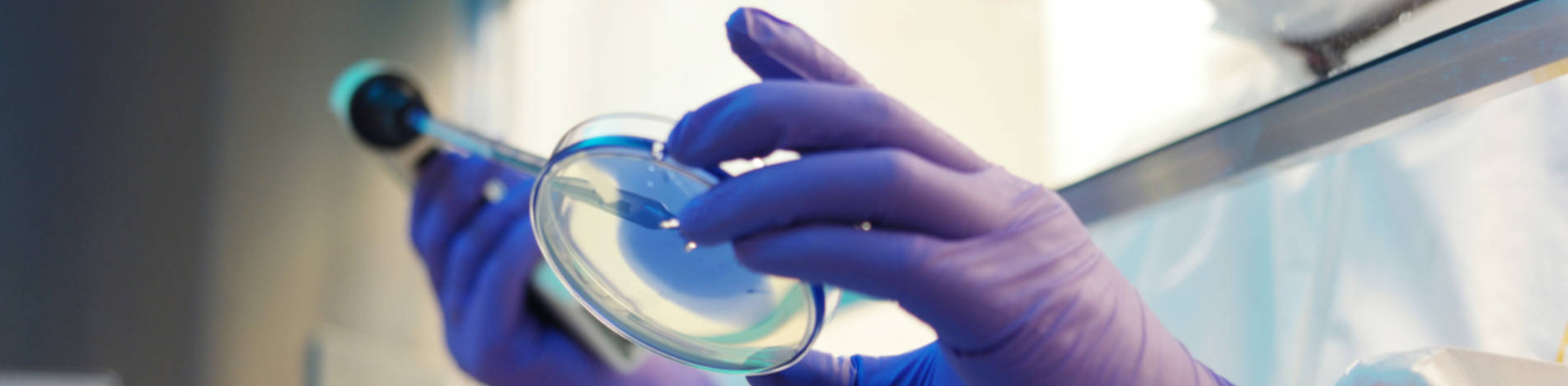 Water Testing and Laboratory Analysis